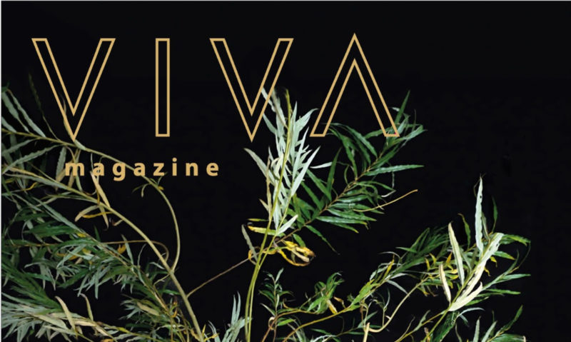 Viva Magazine -2 edição - Viva Decora